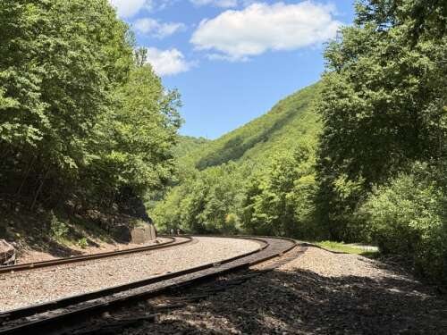 Getting on track with Nature – Times News Online