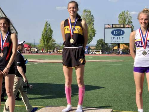 Tigers’ Yost stars at Colonial meet – Times News Online