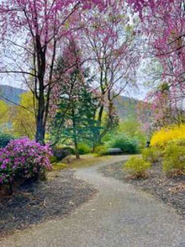 Kemmerer Park announces winners of photo contest – Times News Online