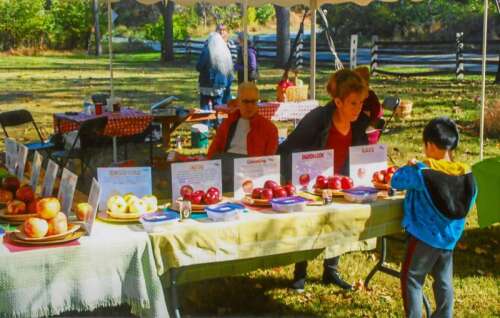 Apple Fest returns to Lutz-Franklin – Lehigh Valley Press