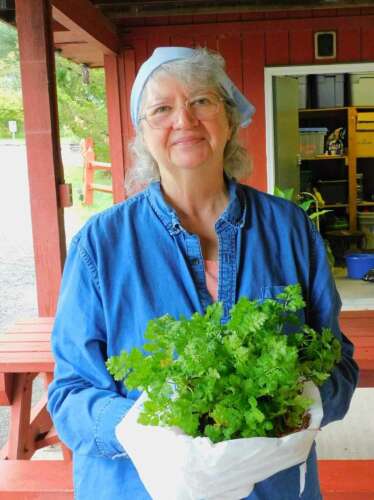 Gardeners tout the benefits of native plants – Times News Online