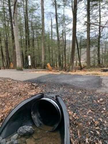 Locust Lake trail update – Times News Online