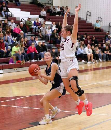 Lehighton Captures Championship Times News Online