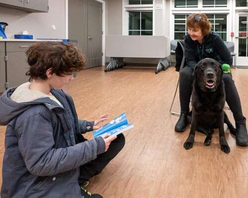Youngsters, Therapy Dogs devour books during Parkland Library program ...