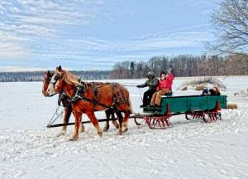 Giddy up, it’s grand, just holding your hand – Times News Online