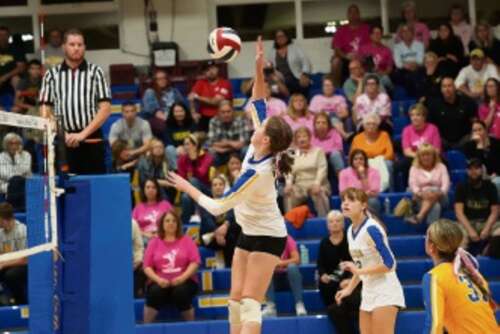 Nativity-Marian Volleyball – Times News Online