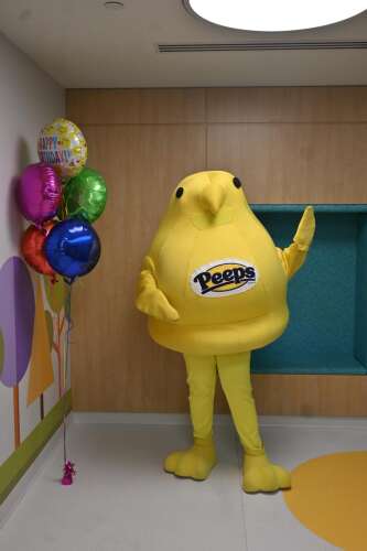 Just Born peep pays a special visit to hospitalized children – Lehigh ...