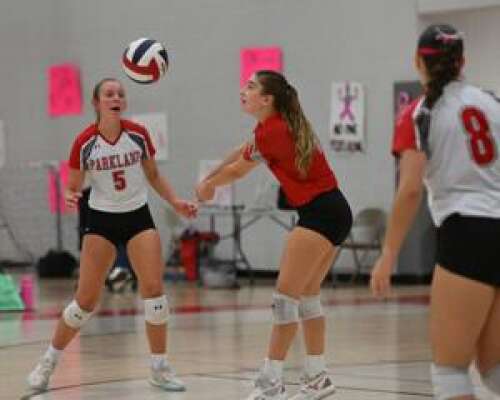 Fekula eclipsed 1,000 digs – Lehigh Valley Press