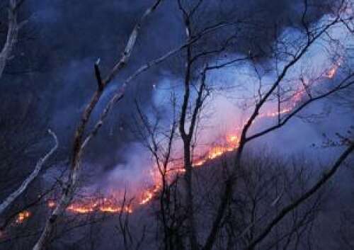 Wildfire creeps close to homes Fire damages 460 acres in Jim Thorpe ...