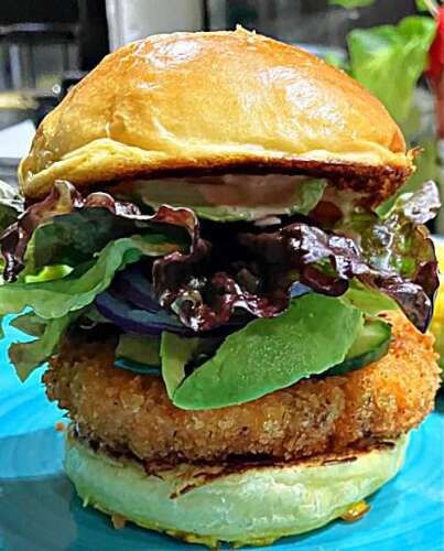 Burgers that pack healthy fat on a bun – Times News Online