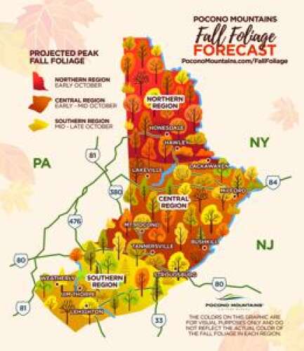 New fall foliage map debuts ahead of season – Times News Online