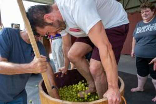 Local media representatives named winners in the Allentown Fair grape ...