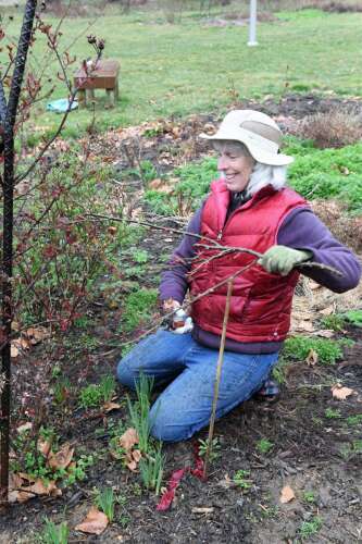 Rose Garden clean-up – Lehigh Valley Press