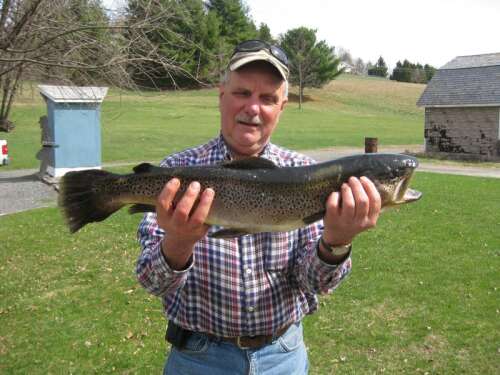 A big fish tale – Times News Online