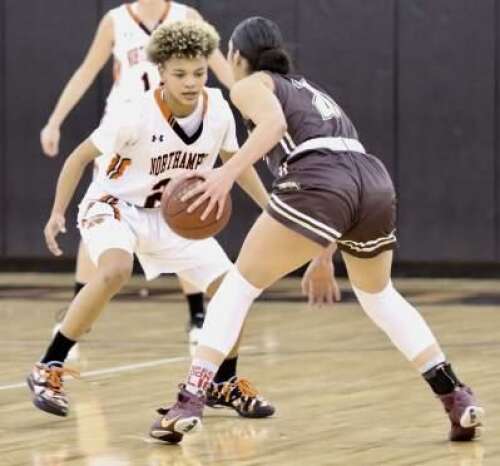 NHS girls set for District 11 playoffs – Lehigh Valley Press