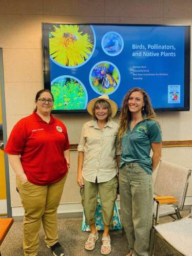 Native plants recommended for backyard habitats – Lehigh Valley Press