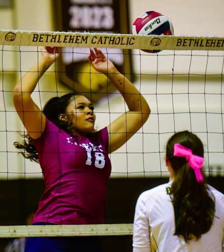Volleyball eyes playoffs – Lehigh Valley Press