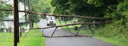 Tree falls on wires; knocks out power in Franklin – Times News Online