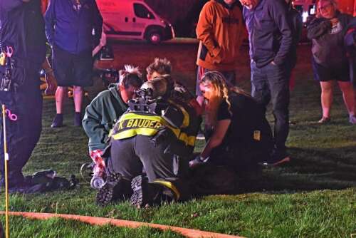 Pet dog rescued, revived from smoke inhalation at Lindberg Avenue home ...