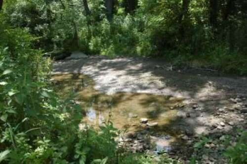 Coplay Creek on the rise – Lehigh Valley Press