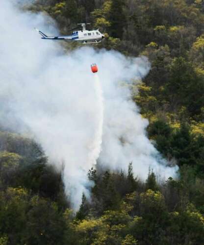 Fire breaks out on Blue Mountain – Times News Online