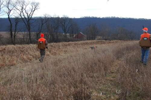Hunting licenses, doe tags go on sale at 8 a.m. Monday – Times News Online