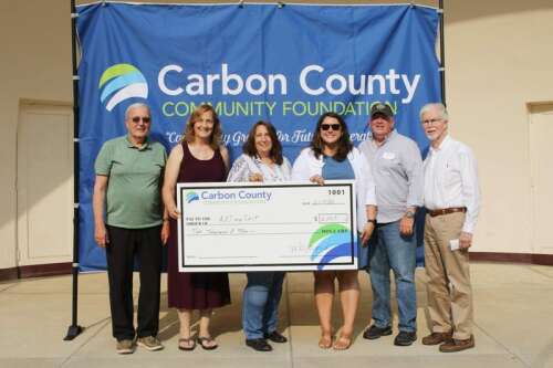 Community Foundation awards grants to organizations – Times News Online