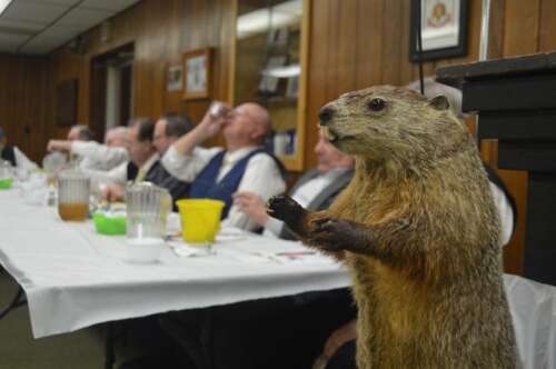 Groundhog dinner tradition flourishes in region – Times News Online