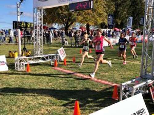 Area runners compete at state meet – Times News Online