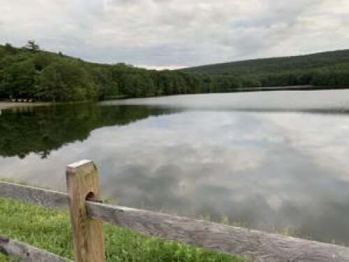 Some campsites at Locust Lake to open Monday – Times News Online