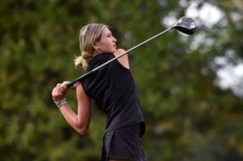 Tigers’ Scheffler reaches states – Times News Online