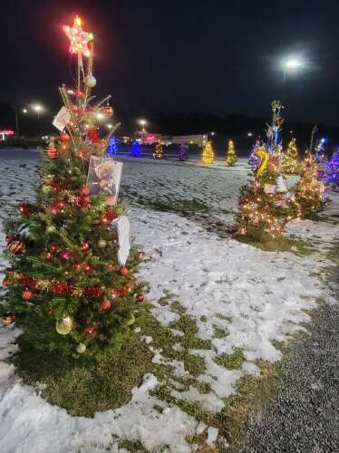 Photos: Walnutport Christmas Trees – Times News Online