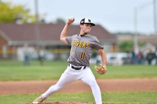Tigers rally past Wilson – Times News Online