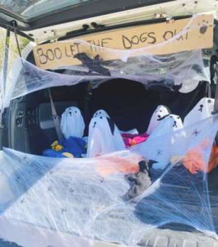 Penn Kidder festival offers plenty of ways to celebrate fall – Times ...