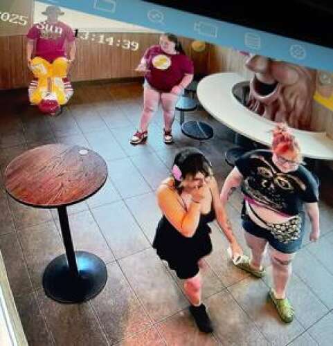 Nesquehoning police report McFelony – Times News Online