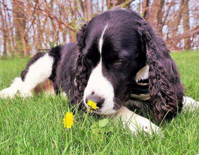 Bud’s View: Aliens vs. Natives – Lehigh Valley Press