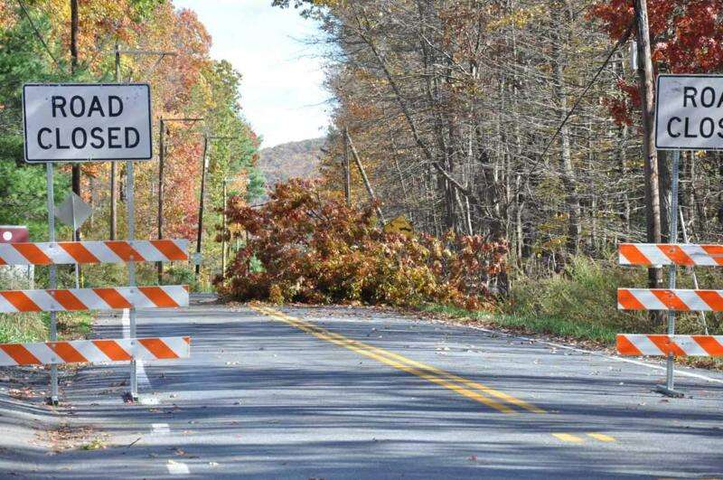 Tree blocks highway – Times News Online