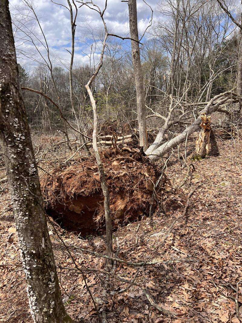 Storm damages trees, knocks out power – Times News Online
